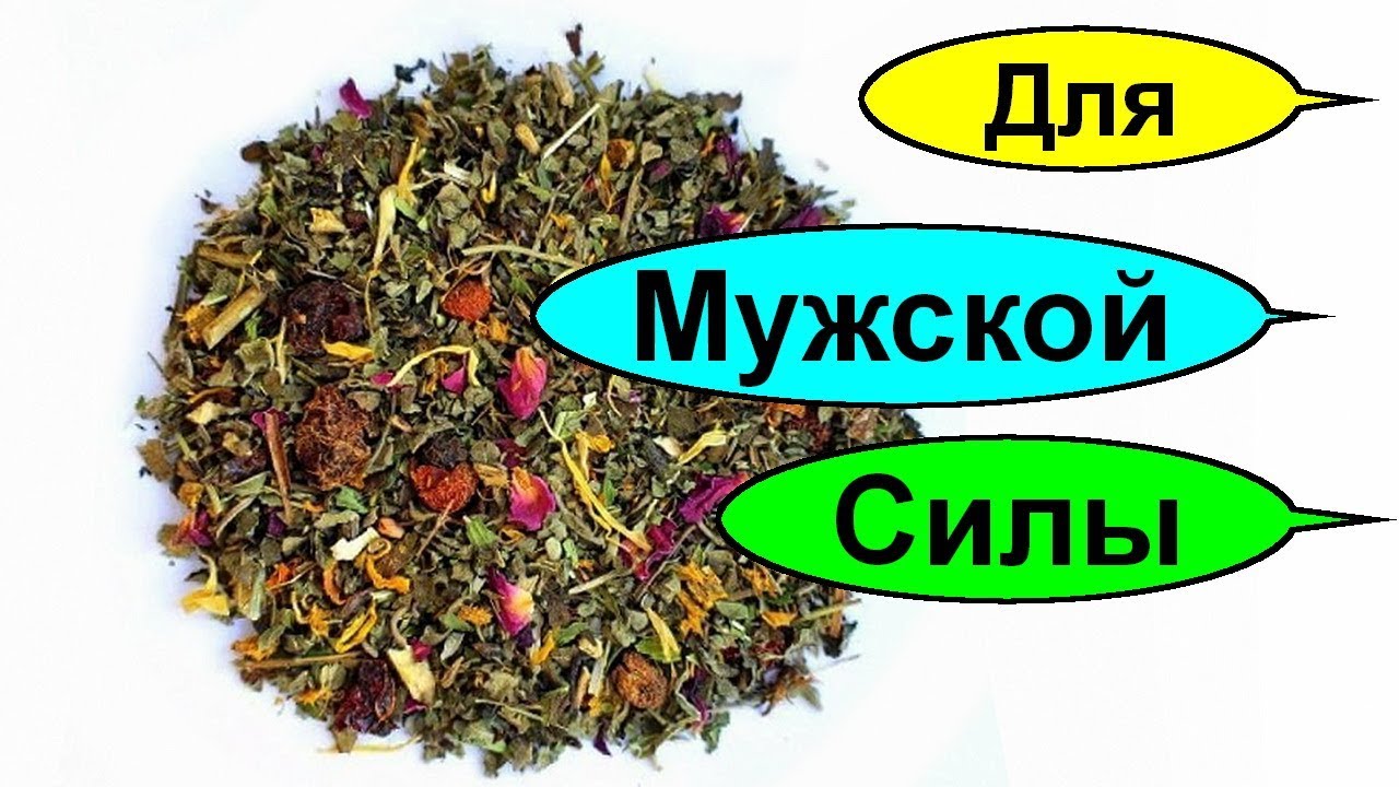 Полезные травы для мужской потенции: Травы для повышения потенции у ...